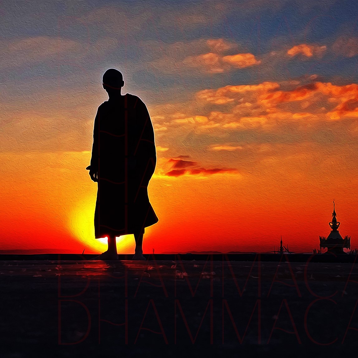 dhammacara – dmcr